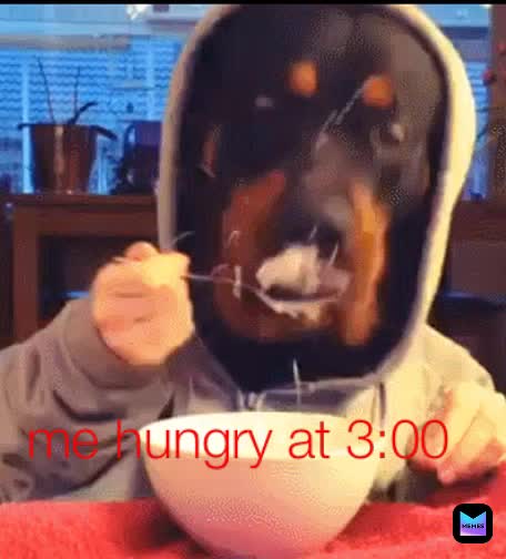 Post by @lilpug_1234 | Memes