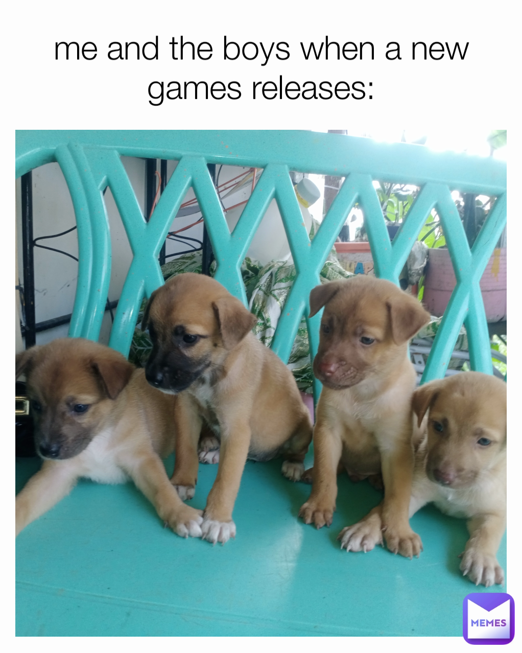 me and the boys when a new games releases: | @jasperdisser | Memes
