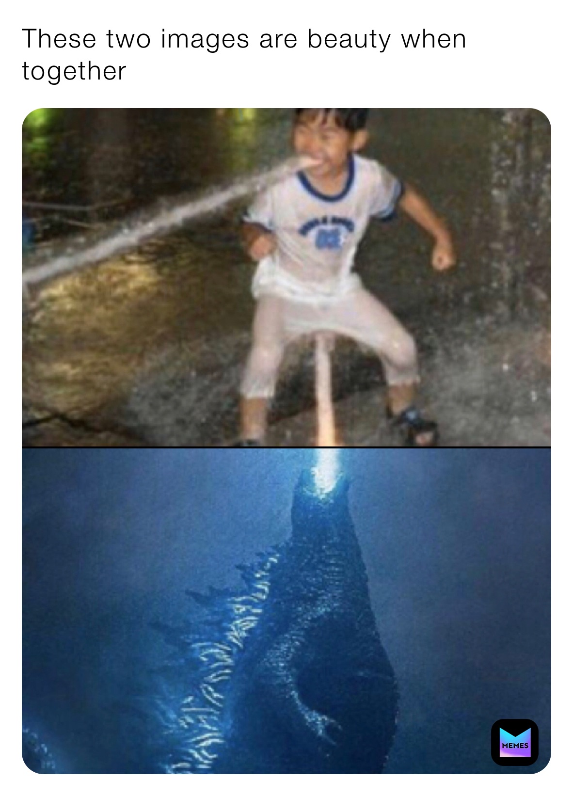 These two images are beauty when together | @glasshouse21 | Memes