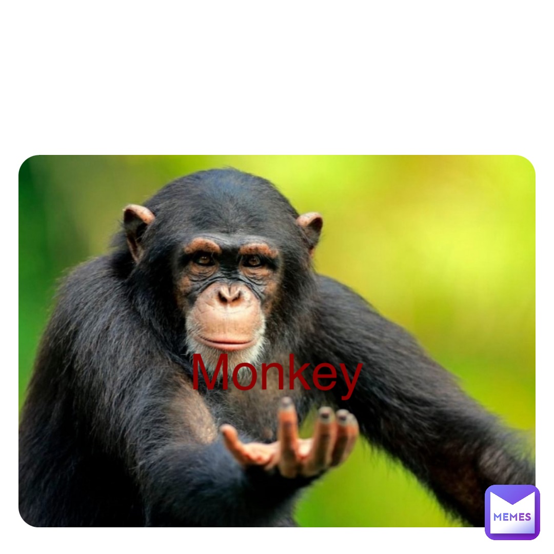 Monkey | @frogs123441 | Memes