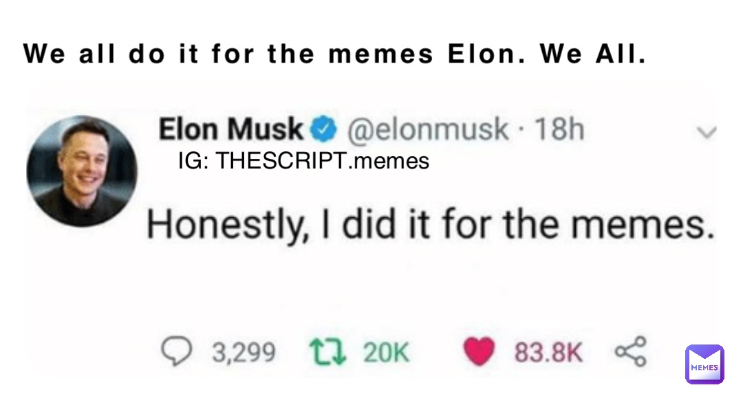 We all do it for the memes Elon. We All. IG: THESCRIPT.memes ...