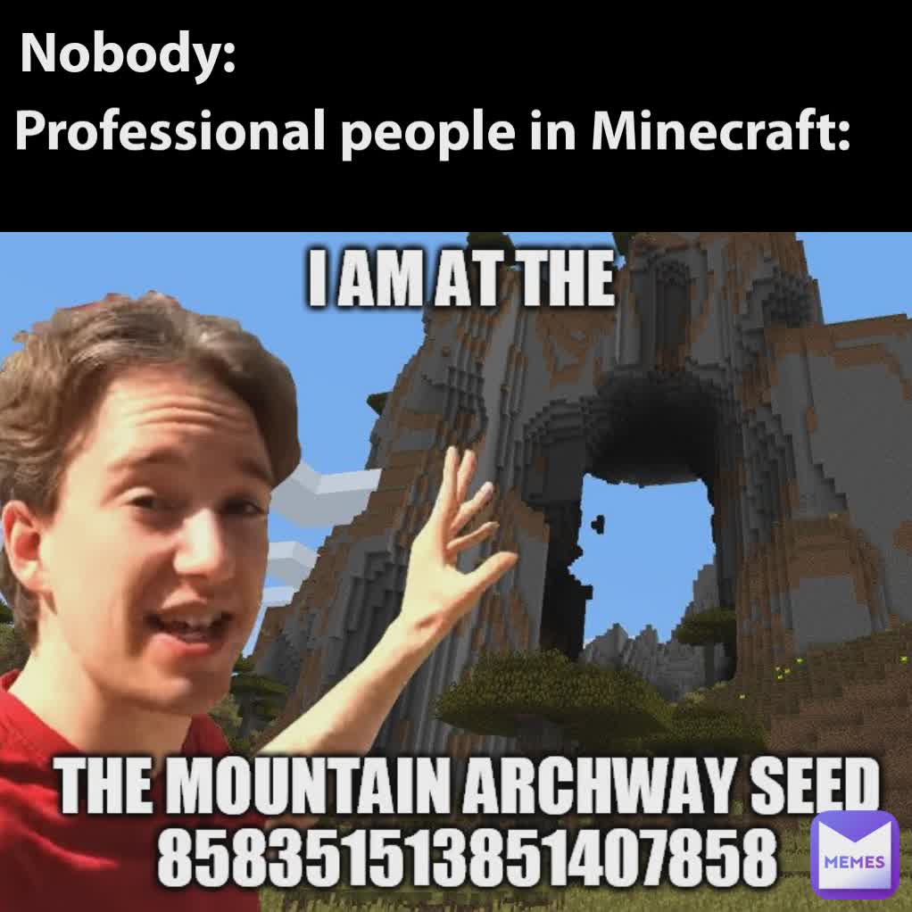 Nobody: Professional people in Minecraft: | @UnikornisFing | Memes