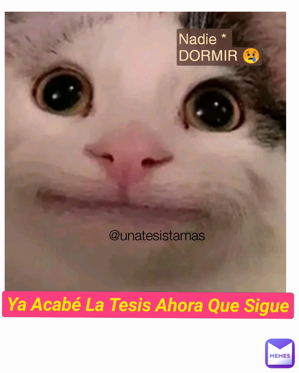 Dormir Ya Acabé La Tesis Ahora Que Sigue Nadie * DORMIR 😢 ...