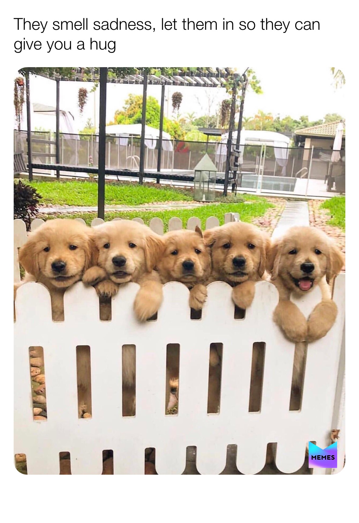 Post by @The_Meme_Cartel | Memes