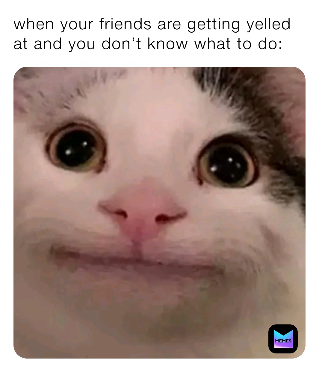 when your friends are getting yelled at and you don’t know what to do ...