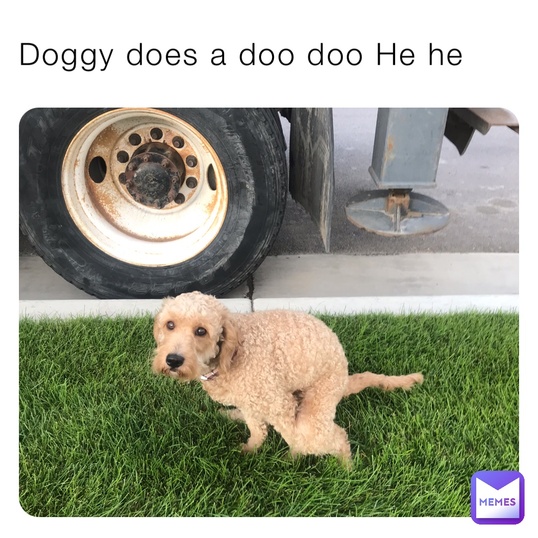 Doggy does a doo doo He he | @STOLEN_MEMES_55 | Memes