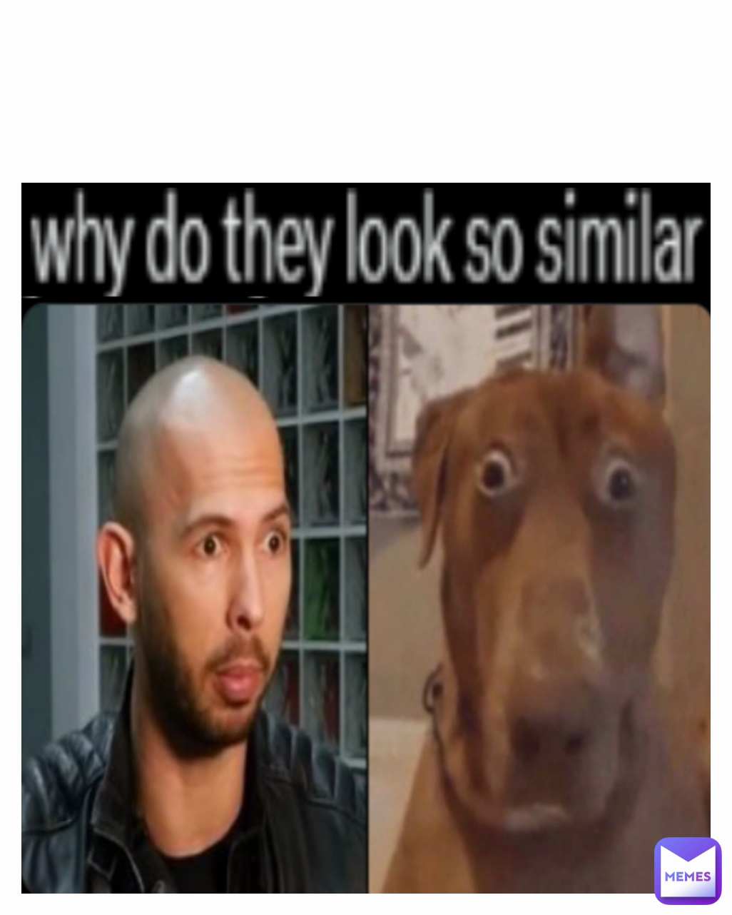 Me watching my score go from 89 to 76 after getting a problem wrong in ...