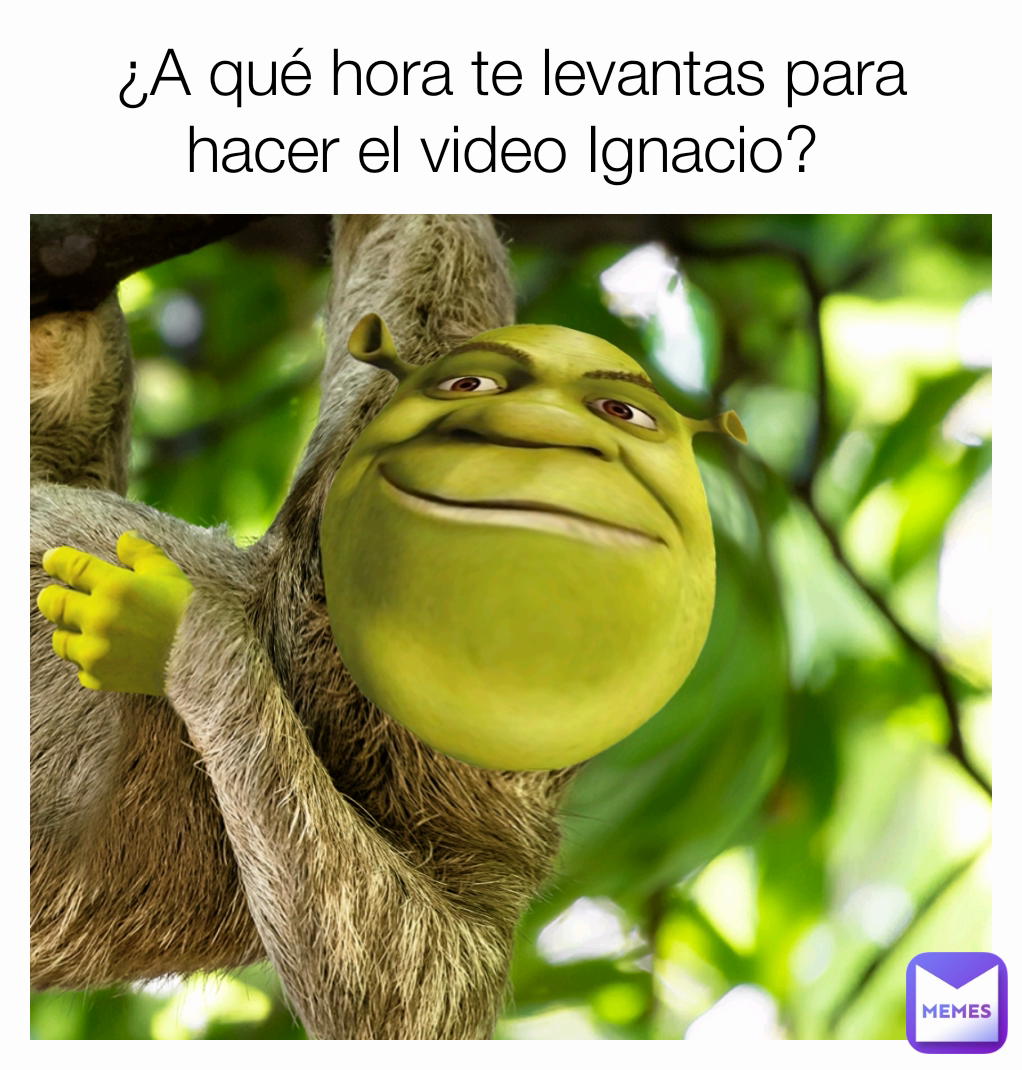 ¡Shingue y Shingue desde temprano Ignacio! | @mafaldaleman | Memes
