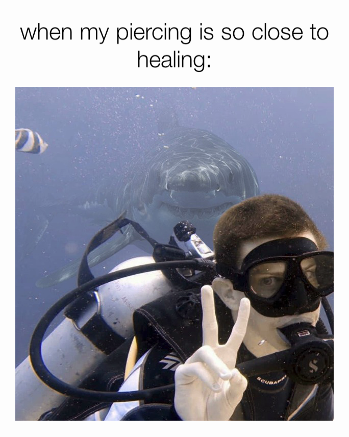 when my piercing is so close to healing: | @professionalpiercer | Memes