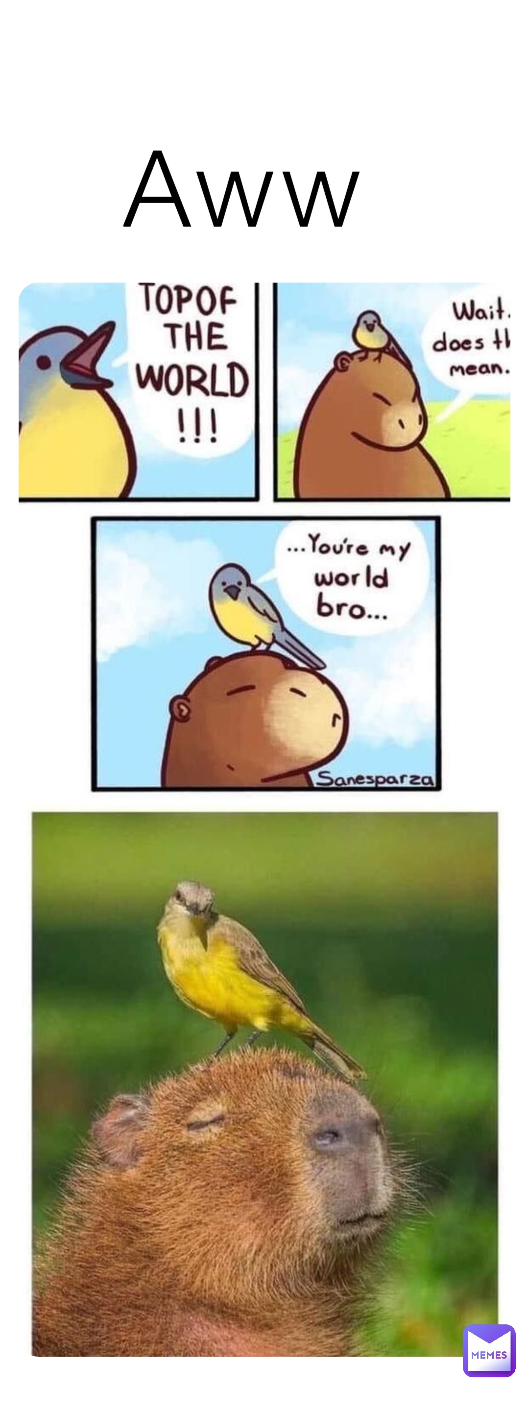 Aww | @The_Punk12345 | Memes