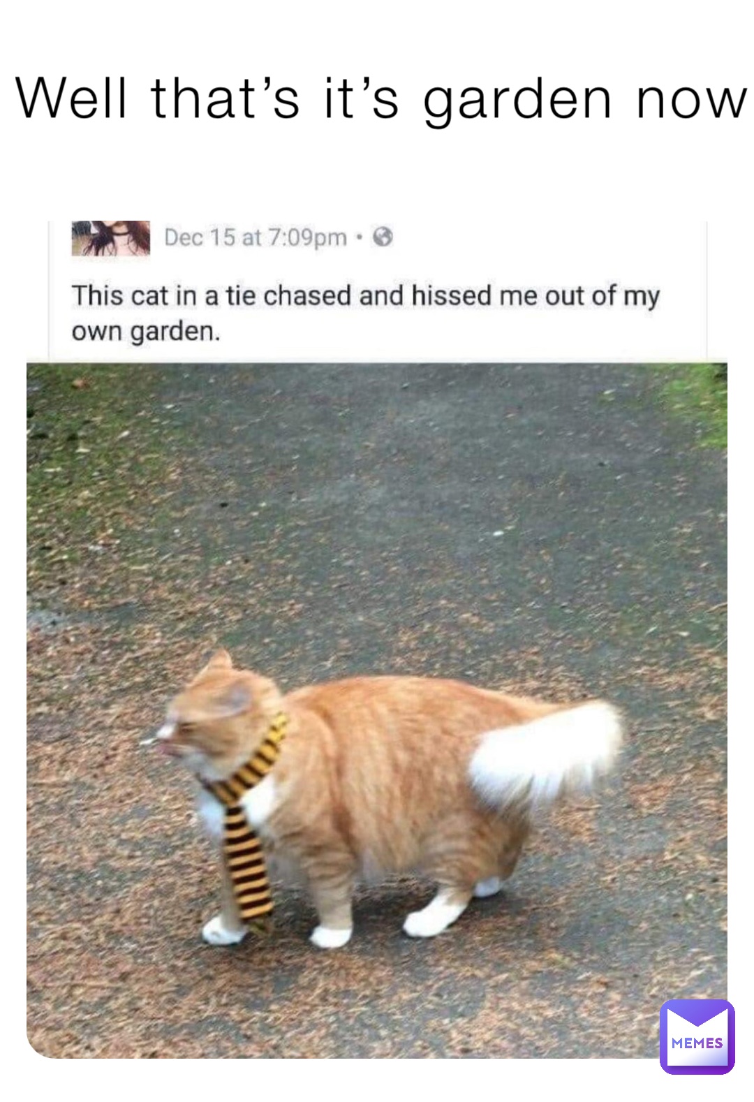 Well that’s it’s garden now | @The_Punk12345 | Memes
