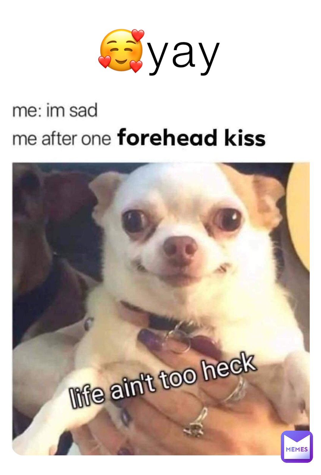 Perfect solution😑 | @The_Punk12345 | Memes