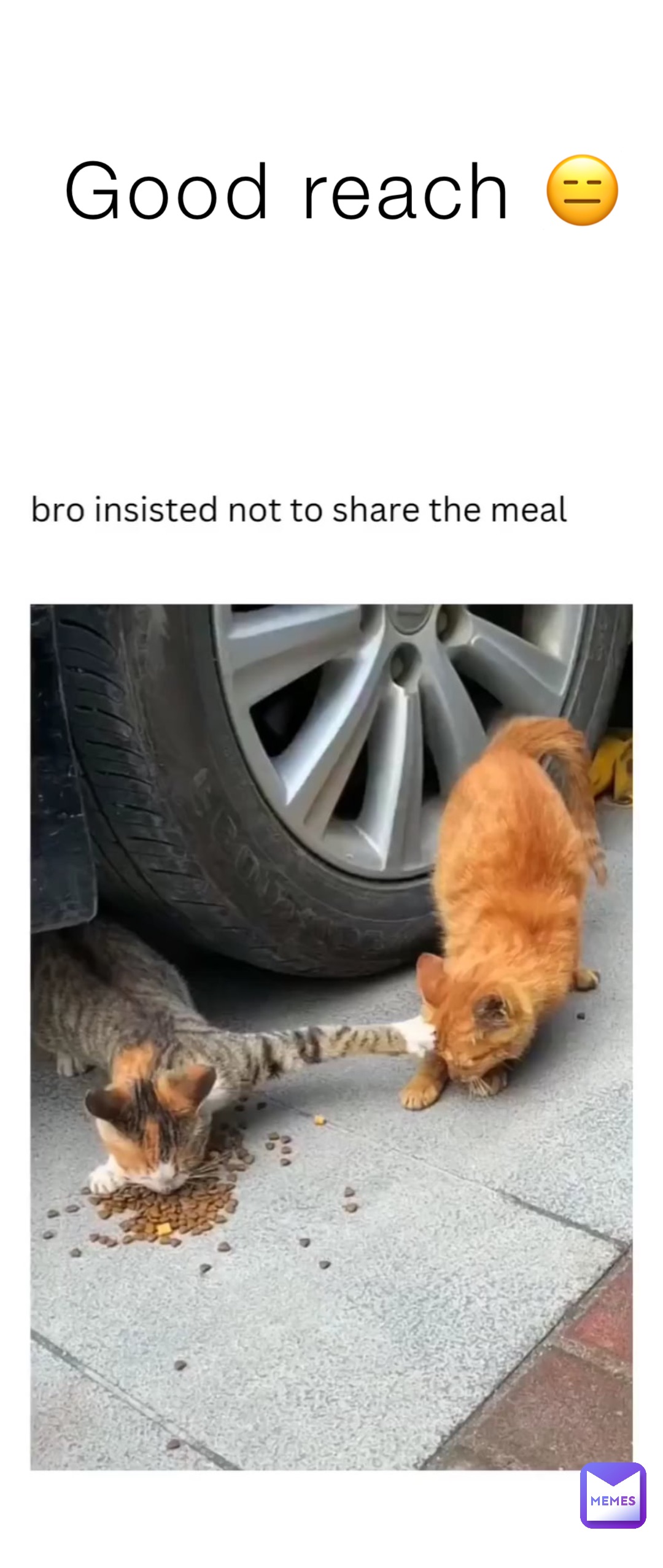 Perfect solution😑 | @The_Punk12345 | Memes