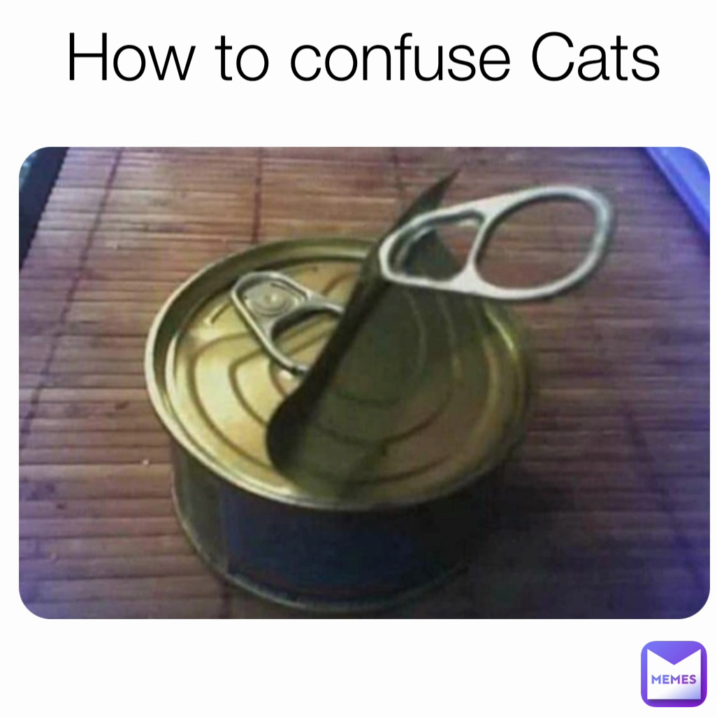 How to confuse Cats | @okino_26. | Memes