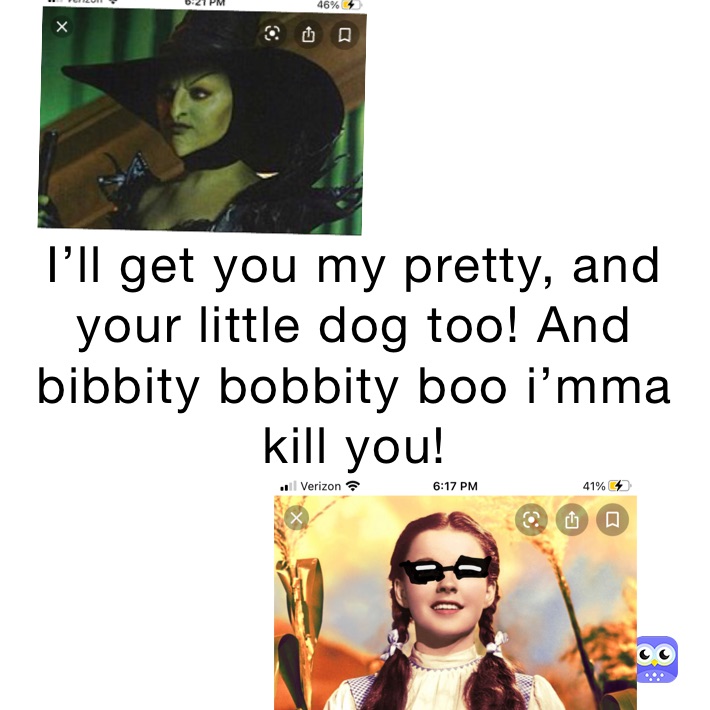 I’ll get you my pretty, and your little dog too! And bibbity bobbity ...
