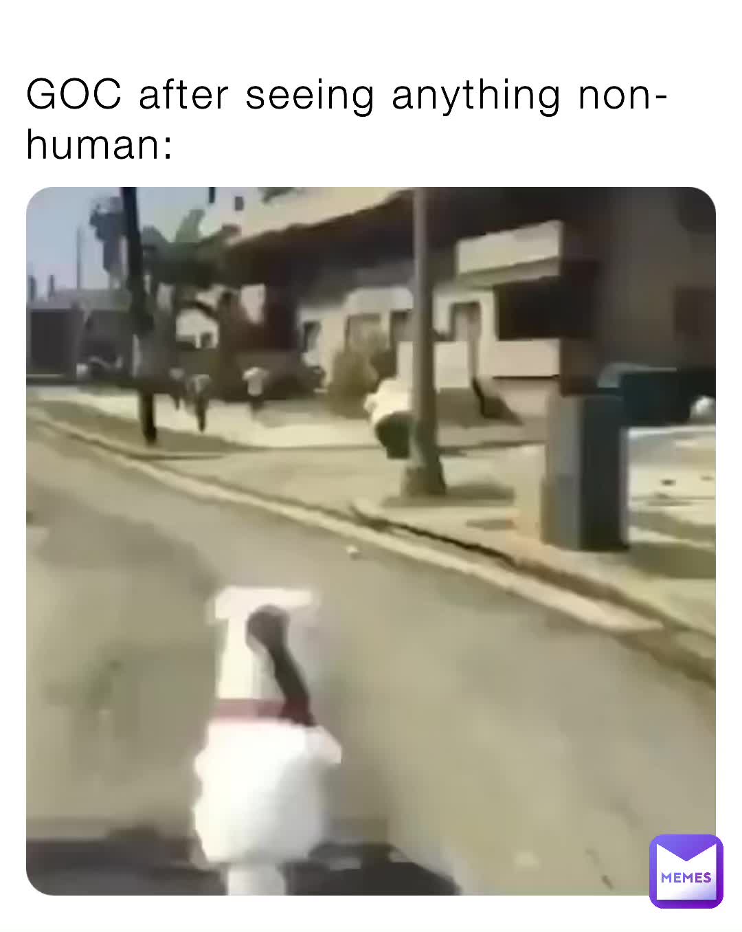 GOC after seeing anything non-human: | @OperatorPhantom | Memes