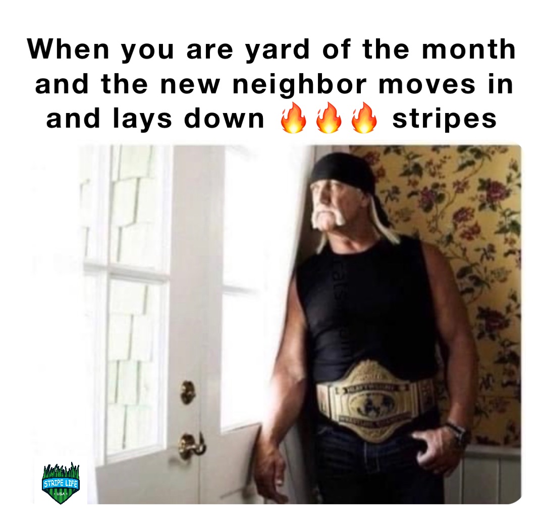 When you are yard of the month and the new neighbor moves in and lays ...
