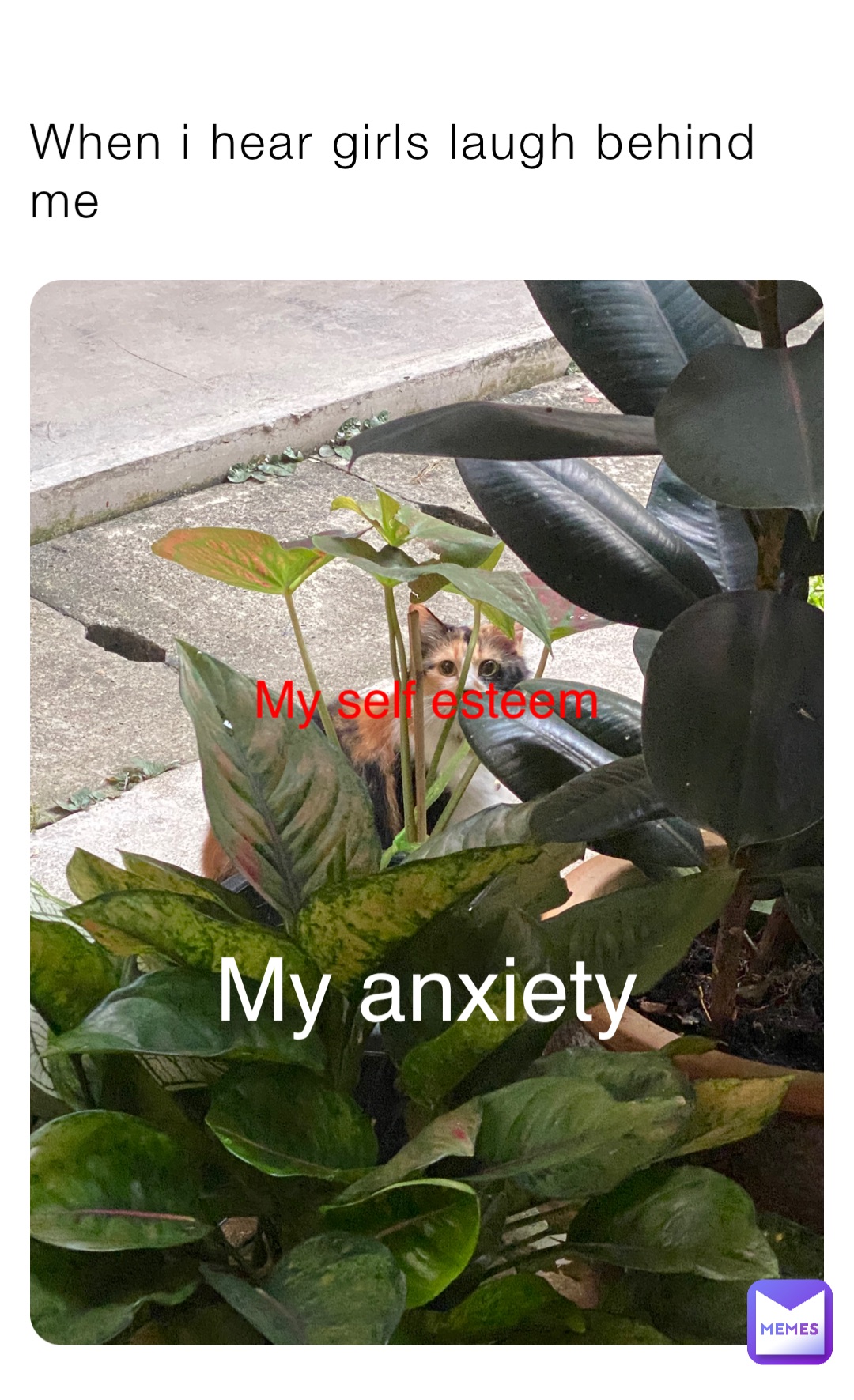 When i hear girls laugh behind me My self esteem My anxiety ...