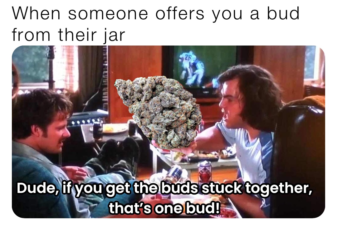 When someone offers you a bud from their jar | @dondurgan | Memes