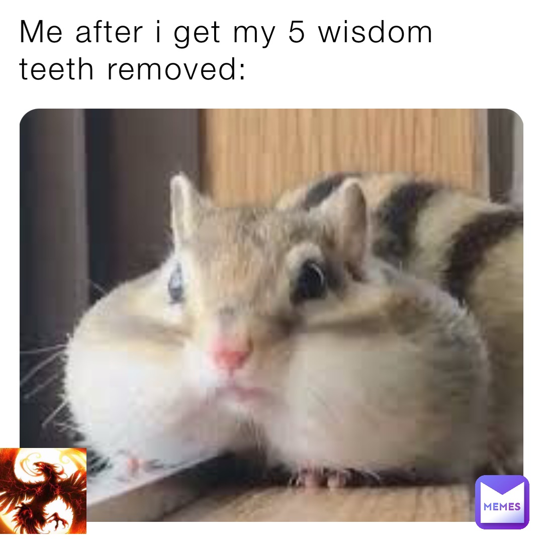 Me after i get my 5 wisdom teeth removed: | @FireFalcon2005 | Memes
