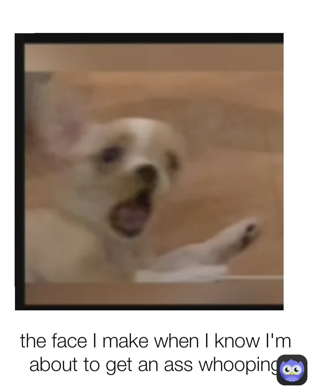 the face I make when I know I'm about to get an ass whooping ...