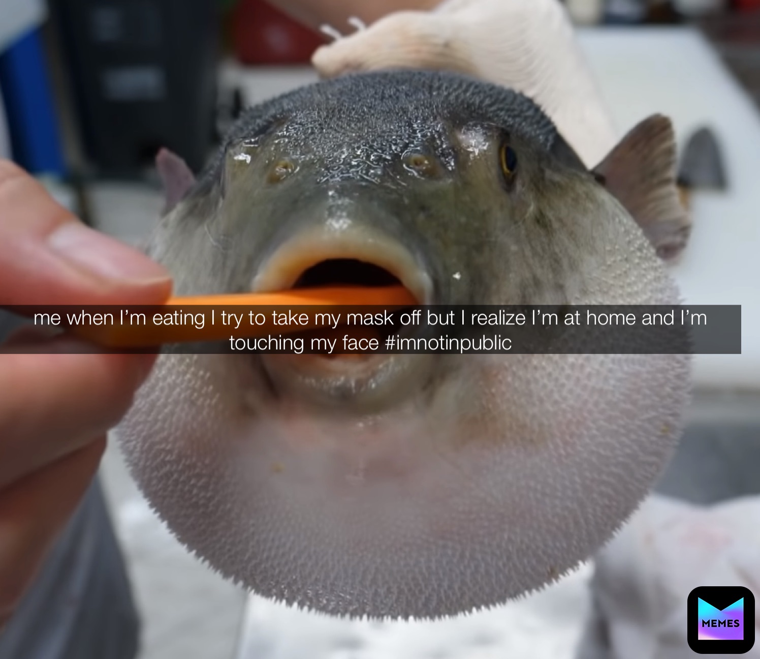 me when I’m eating I try to take my mask off but I realize I’m at home ...