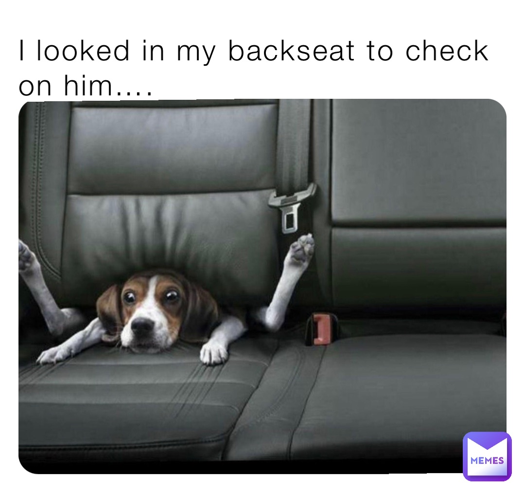 I looked in my backseat to check on him…. | @Gurly_girl | Memes