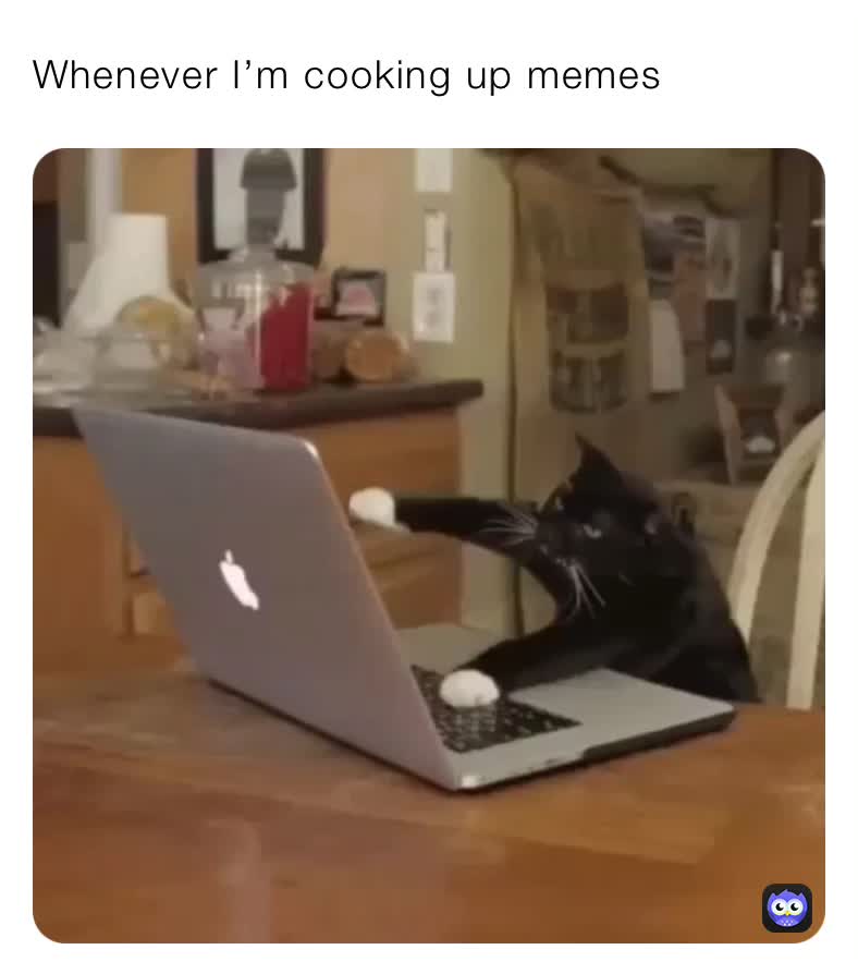 Whenever I’m cooking up memes | @THEMxUS | Memes