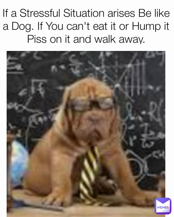 If a Stressful Situation arises Be like a Dog. If You can't eat it or ...