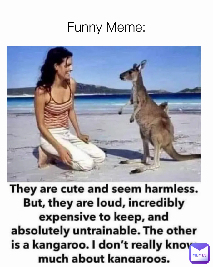 Funny Meme: | @Curmudgeon | Memes