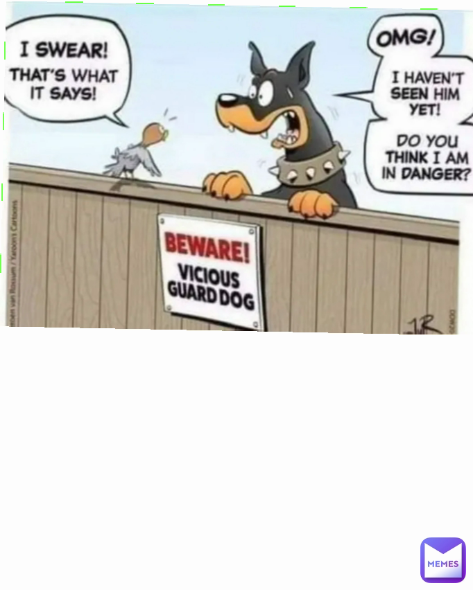 Brain of a typical Man. | @Curmudgeon | Memes