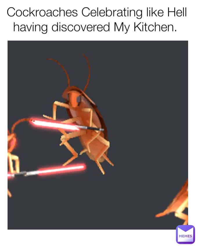Cockroaches Celebrating like Hell having discovered My Kitchen ...