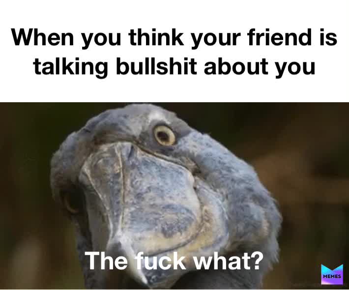 Post by @memes4yall | Memes