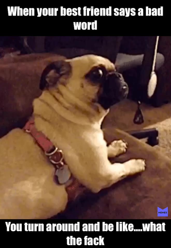 Post by @you_like_my_bad_memes | Memes