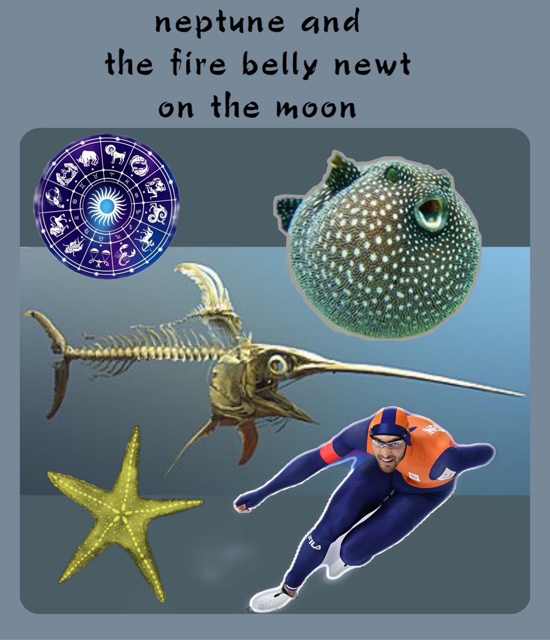 neptune and the fire belly newt on the moon | @lolatrunkcanteen2 | Memes
