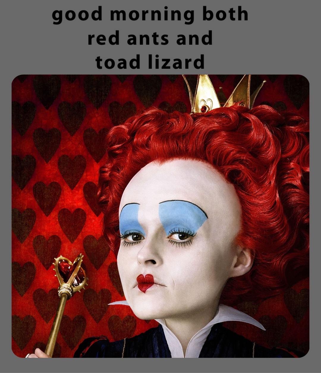 good morning both red ants and toad lizard | @lolatrunkcanteen2 | Memes