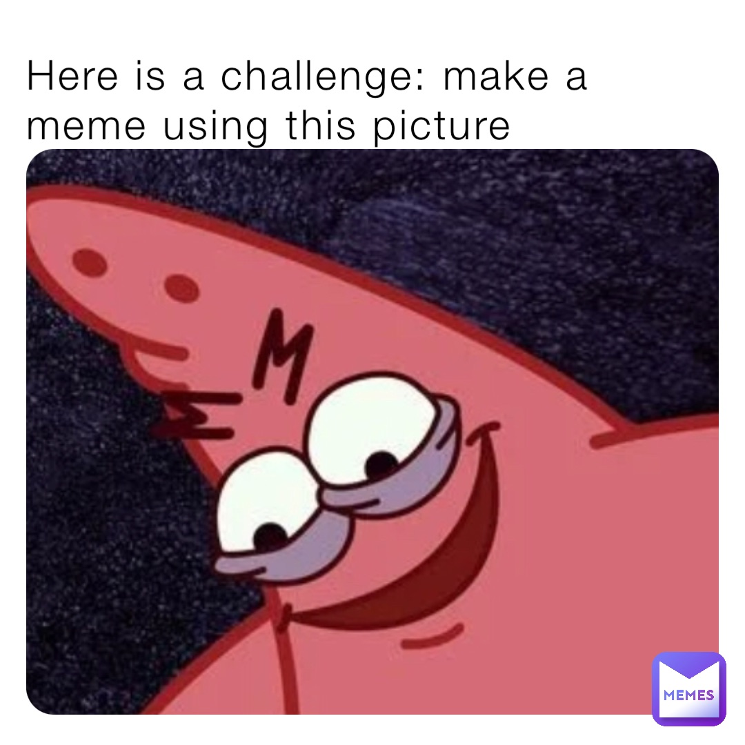 Here is a challenge: make a meme using this picture | @WhatTheDogD0in ...