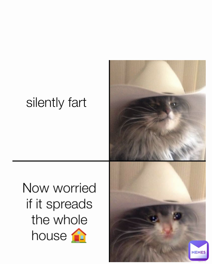 Now worried if it spreads the whole house 🏠 silently fart | @brafitic ...