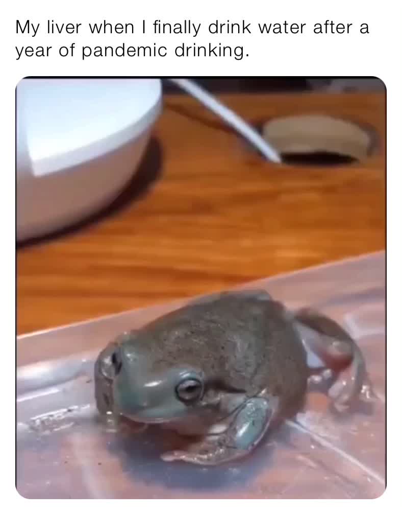 My liver when I finally drink water after a year of pandemic drinking ...