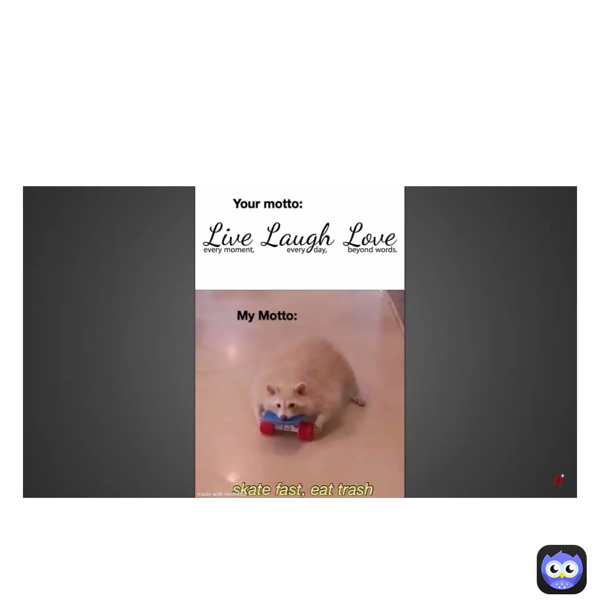 Post by @memes_are_life_memes_are_death | Memes