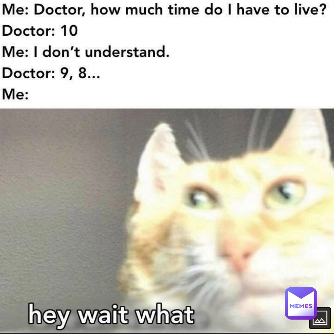 Post by @memes_are_life_memes_are_death | Memes