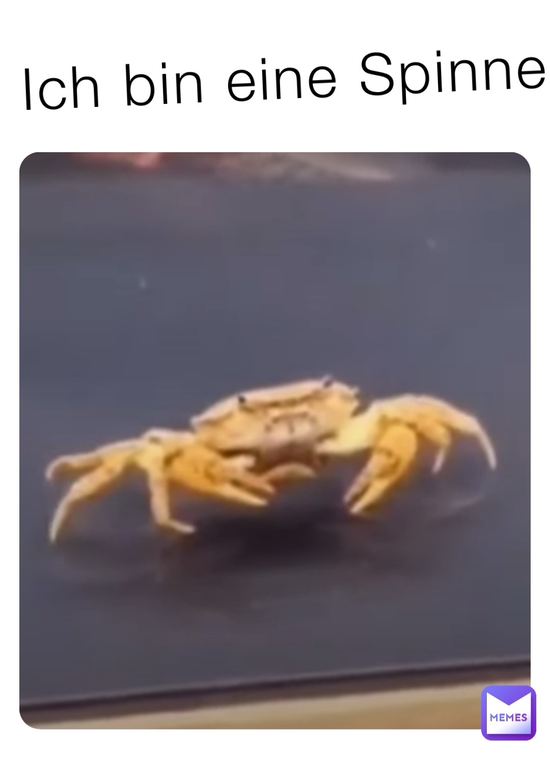 Ich bin eine Spinne | @ferris_1722769449 | Memes