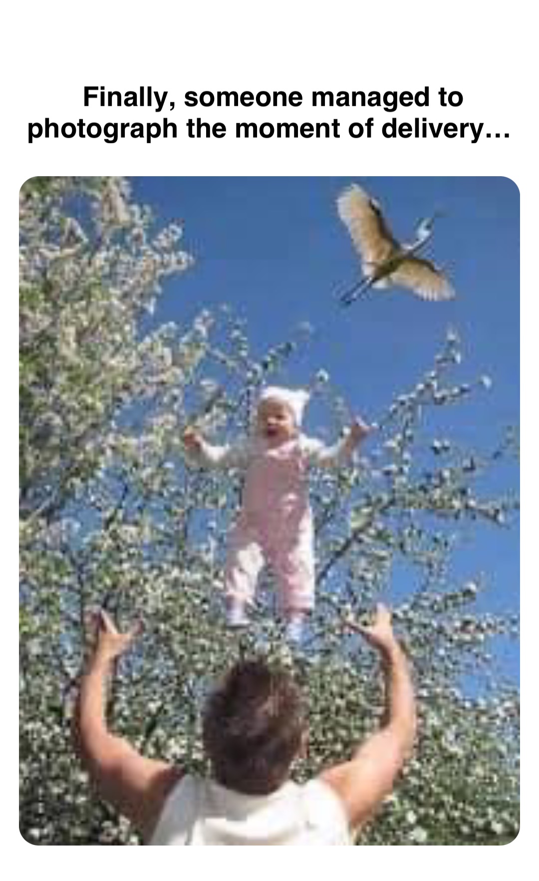 Double tap to edit Finally, someone managed to photograph the moment of ...