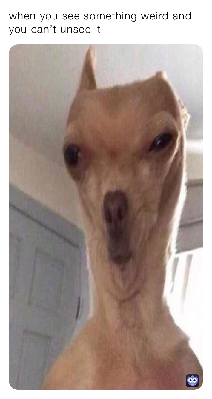 when you see something weird and you can’t unsee it | @mitchywitch | Memes