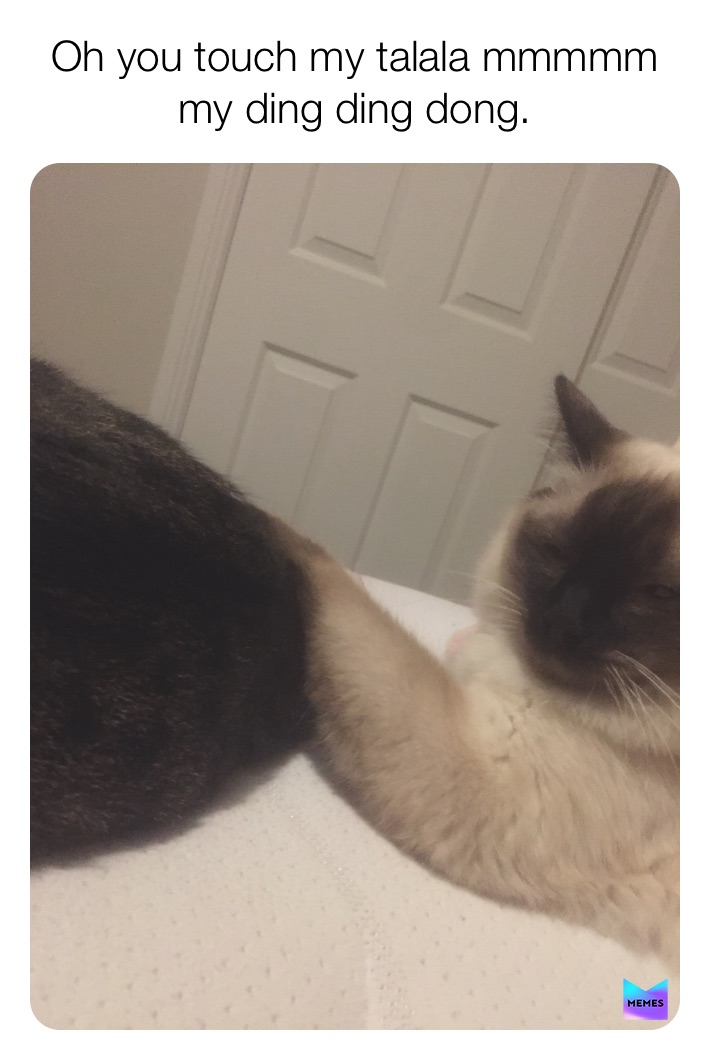 Post by @sienna__meam_queen | Memes