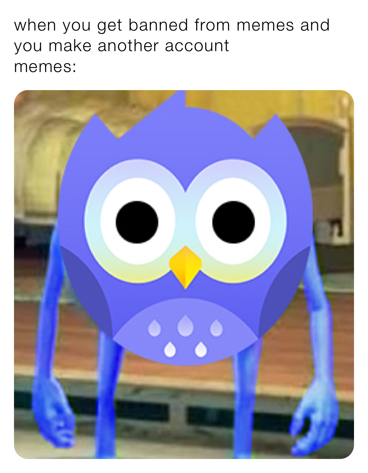 when you get banned from memes and you make another account memes ...