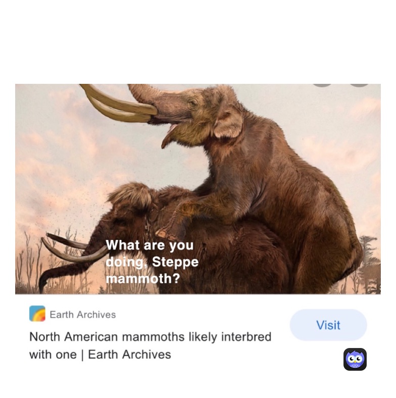 Post by @toritease | Memes