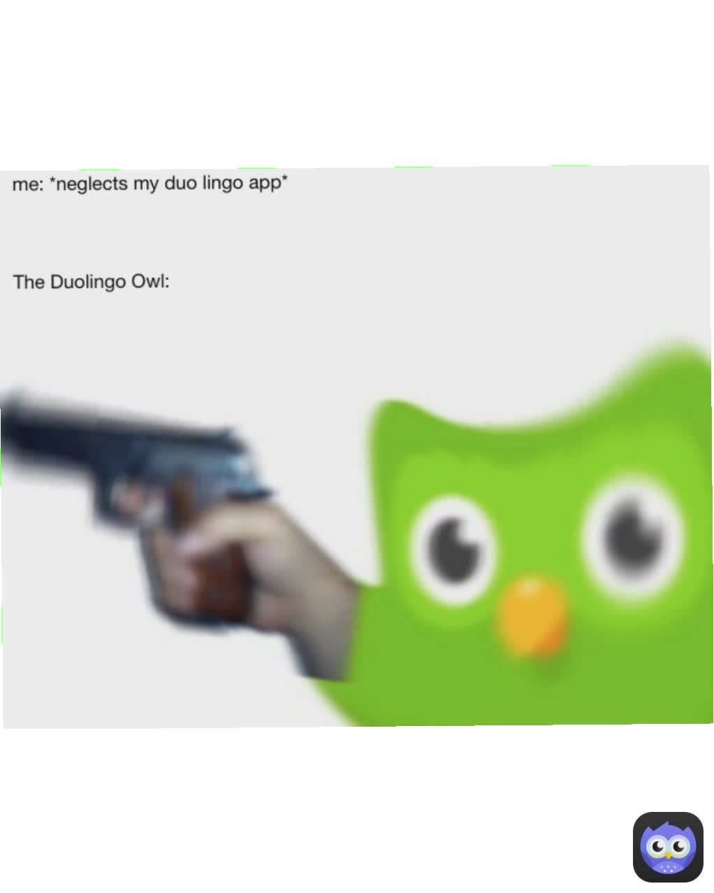 Post by @frogge | Memes