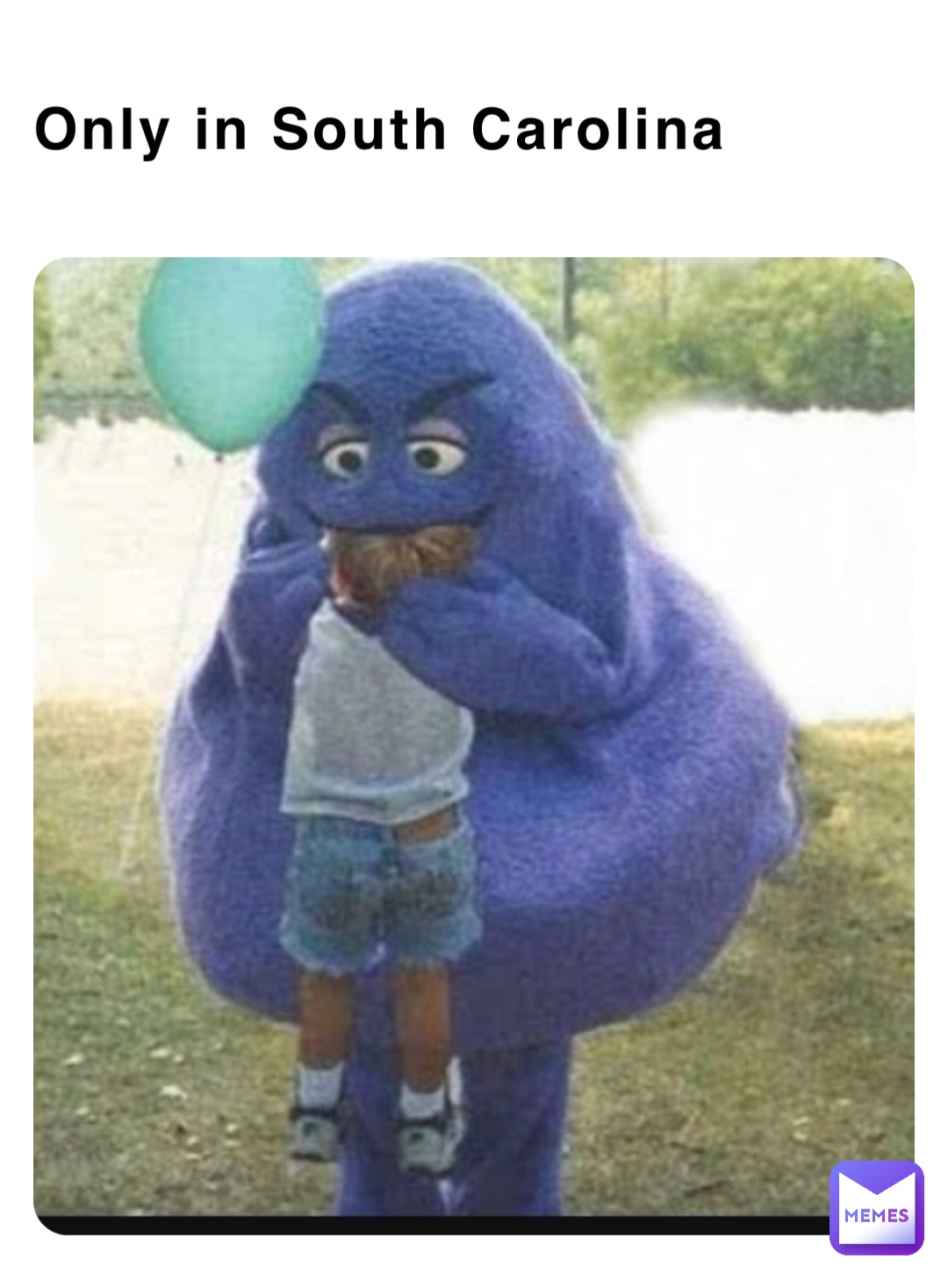 Meanwhile, in South Carolina | @cmmnqgtcq5 | Memes