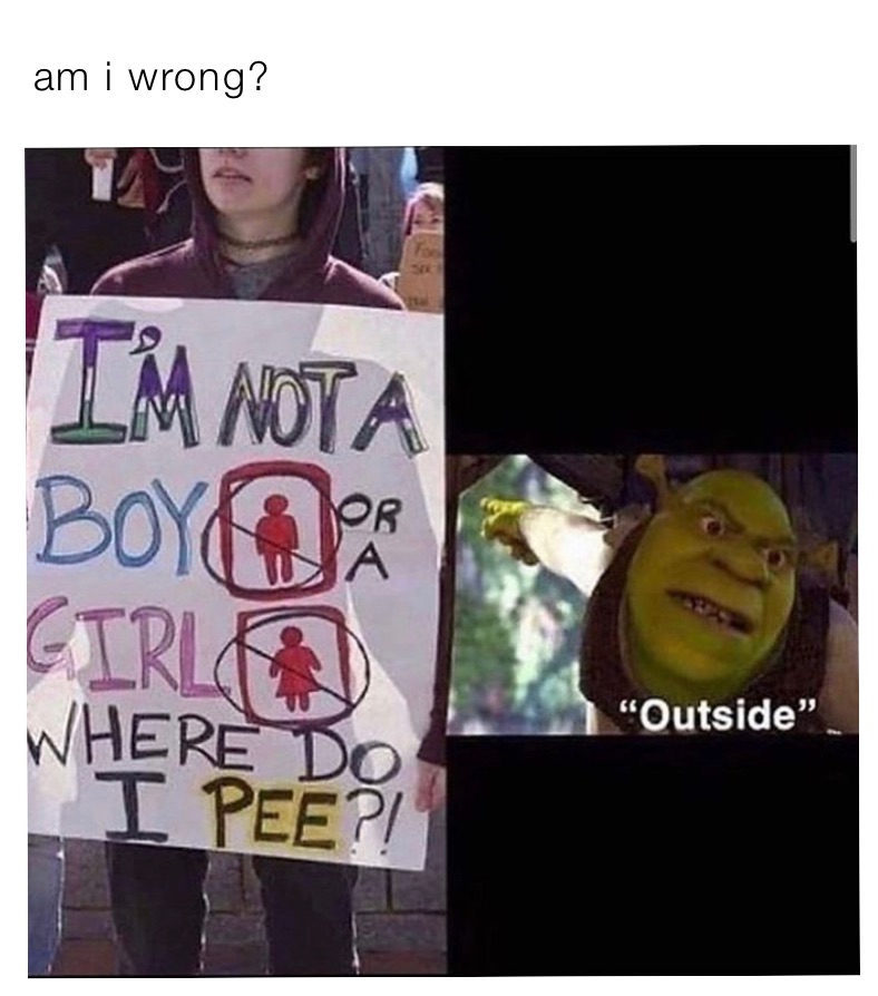 *Me when my friends at school says im sus* | @Kjell_Tore_Memes | Memes